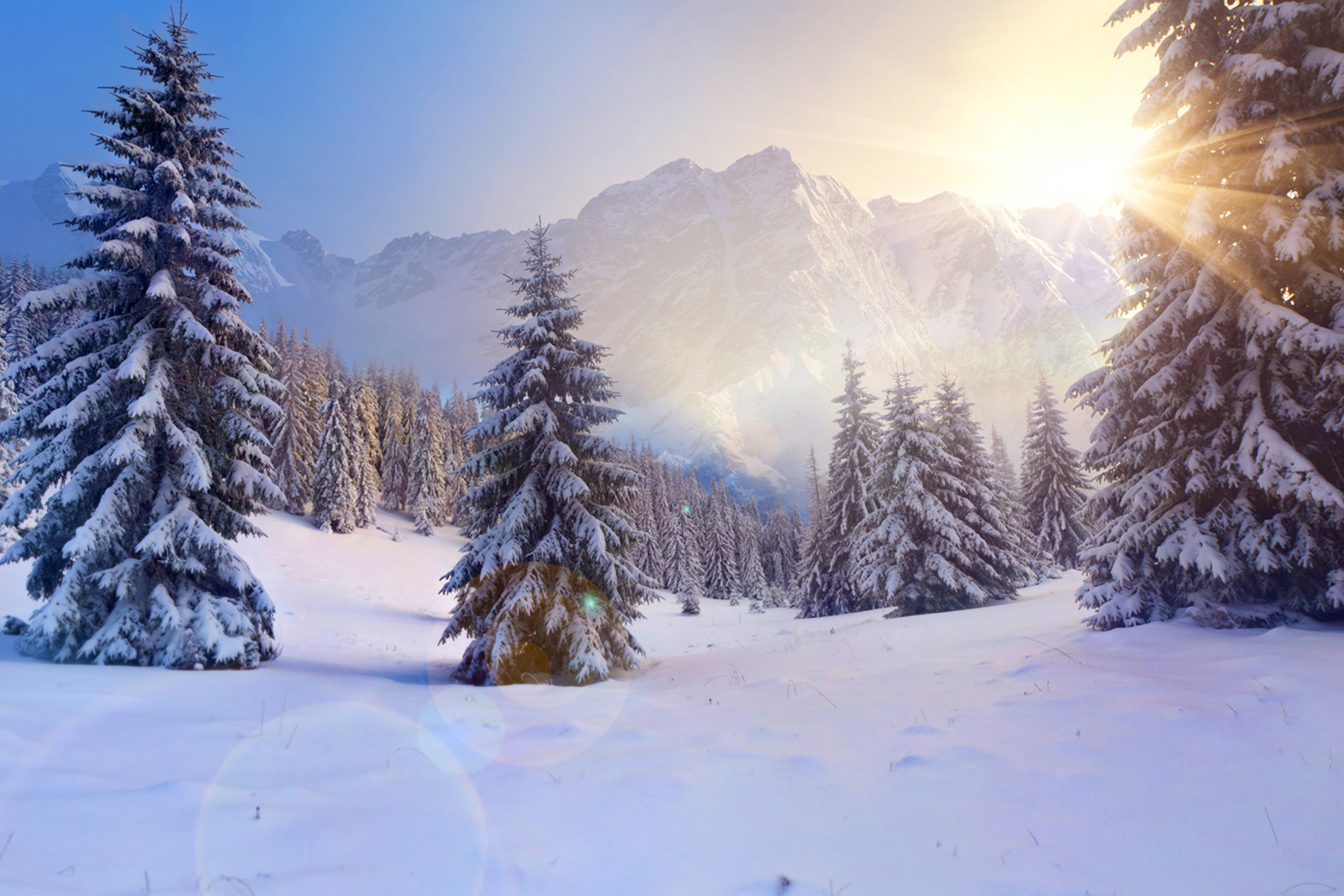 About Us - Scott-Bilt Racing | Scott-Bilt Racing